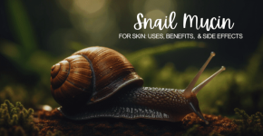 Snail Mucin for Skin: Uses, Benefits, & Side Effects - Nain Lab